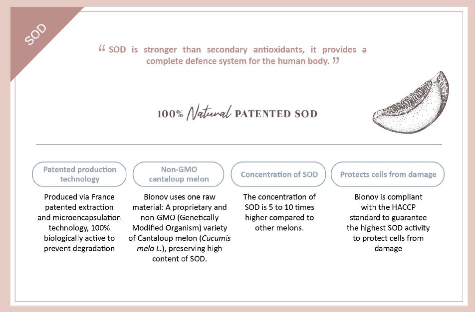 Wellous LIVEON - Re-explore Your Youthful Diary | WellnessMall.com.my
