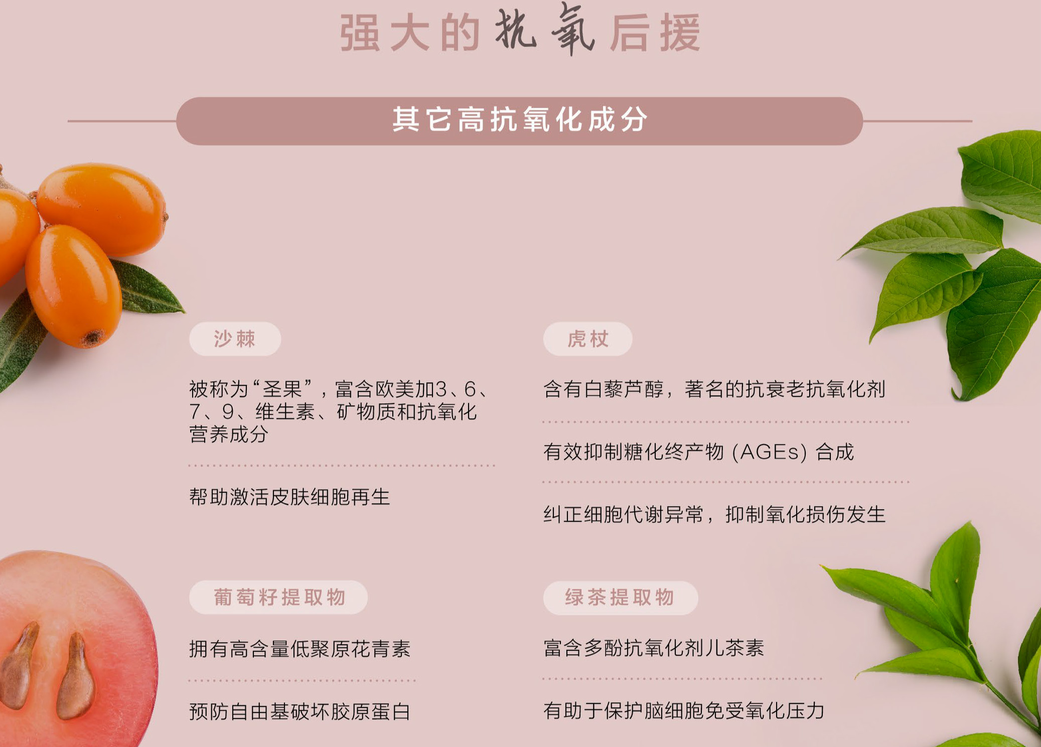 Wellous LIVEON逆龄抗糖饮 - 由内而外逆龄生长 | WellnessMall.com.my