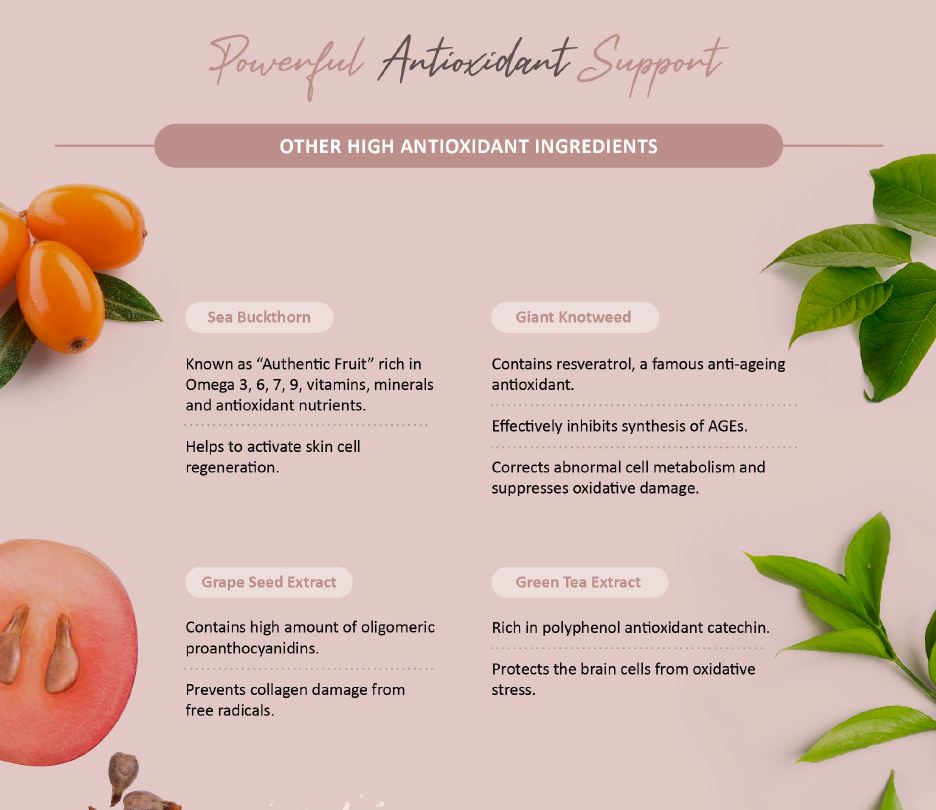 Wellous LIVEON - Eating Method | WellnessMall.com.my